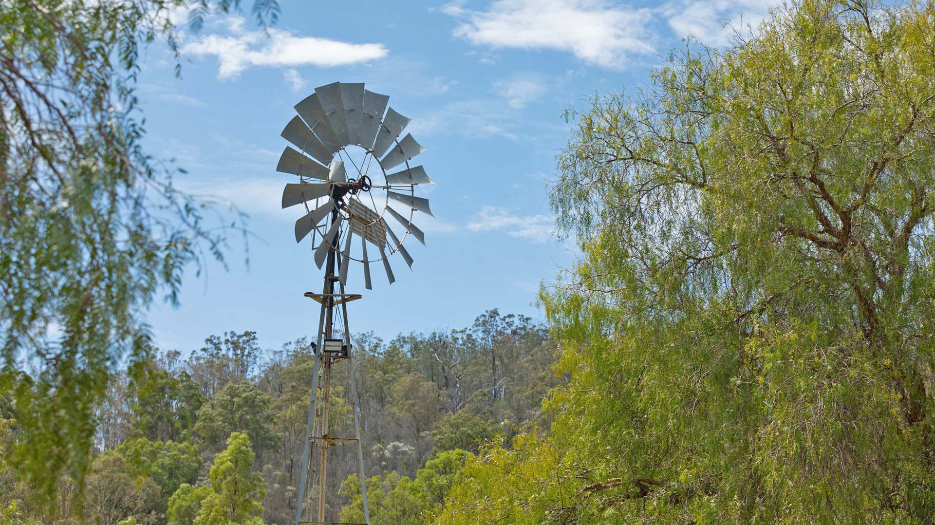 Gallery - Camp Cooby